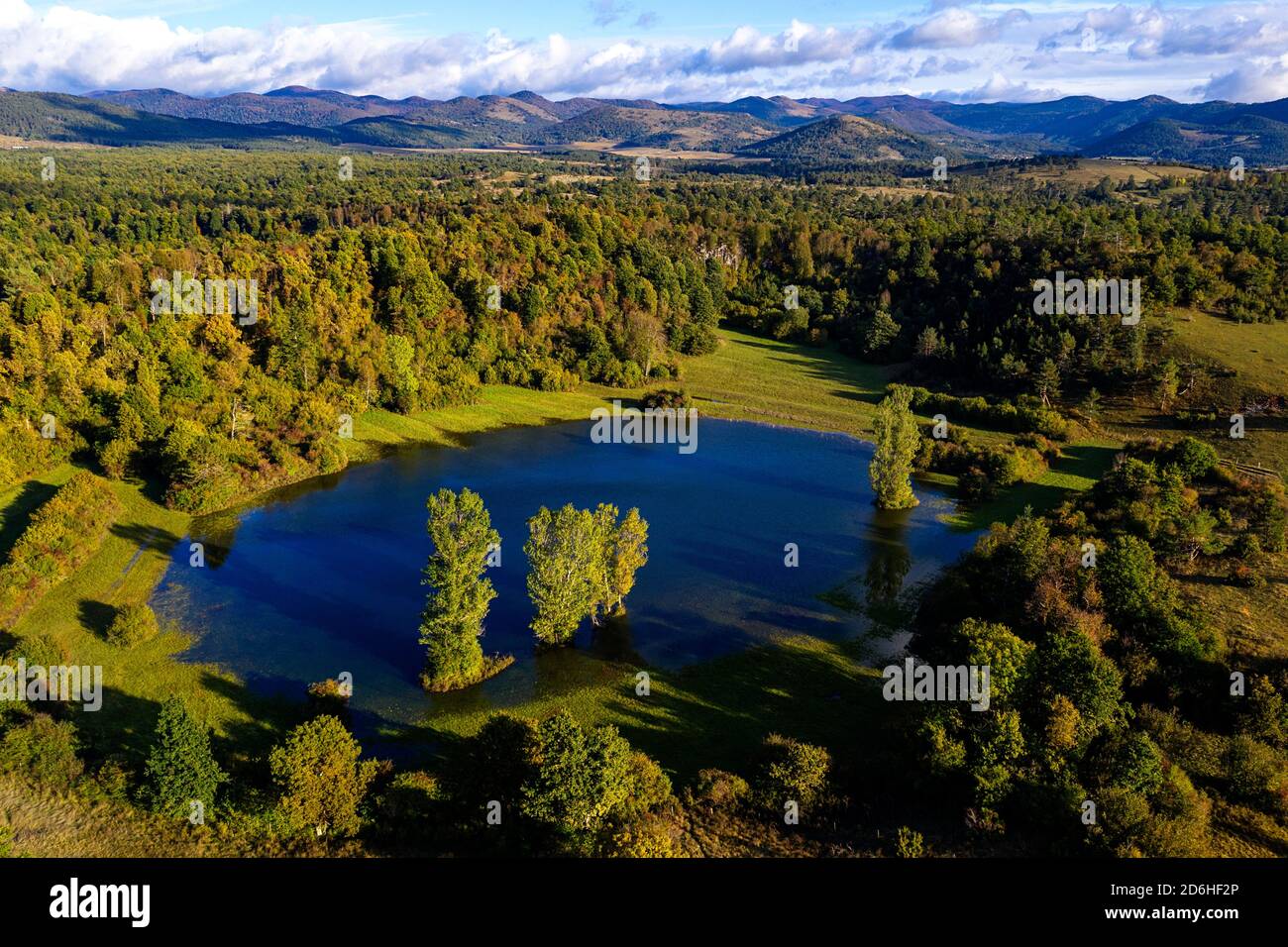 Pivka intermitten lakes, flooded fields with trees, Slovenia Stock ...