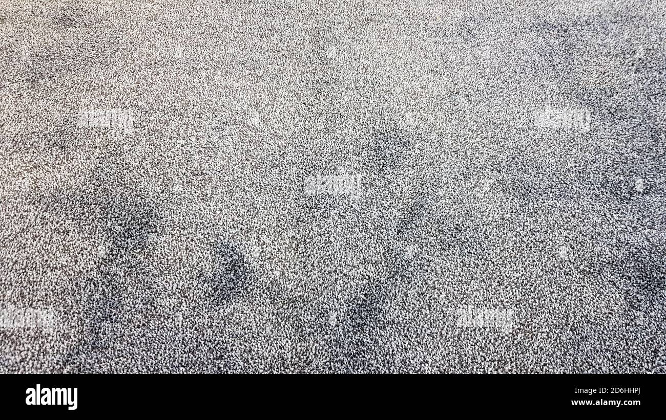 Gray carpet polyester texture. Seamless monochrome gray carpet texture ...