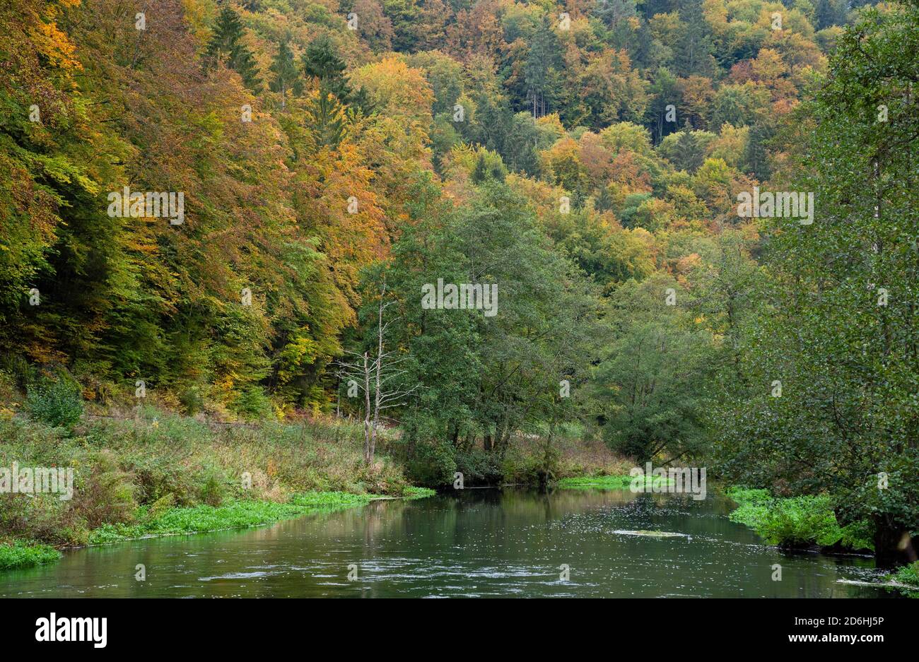 Wiesent hi-res stock photography and images - Alamy