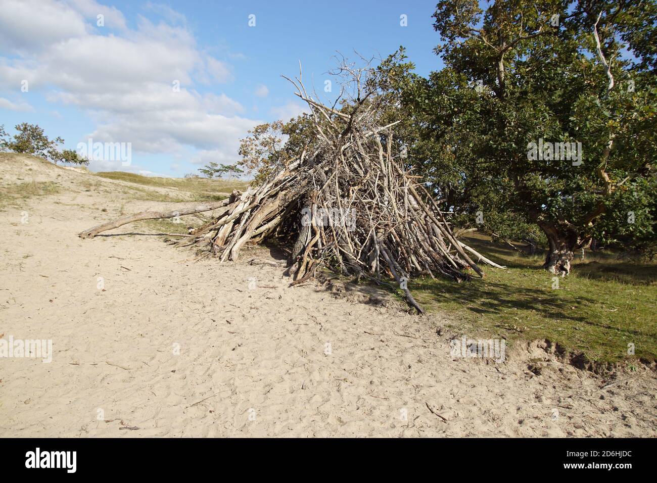 Tipi in woods hi-res stock photography and images - Alamy