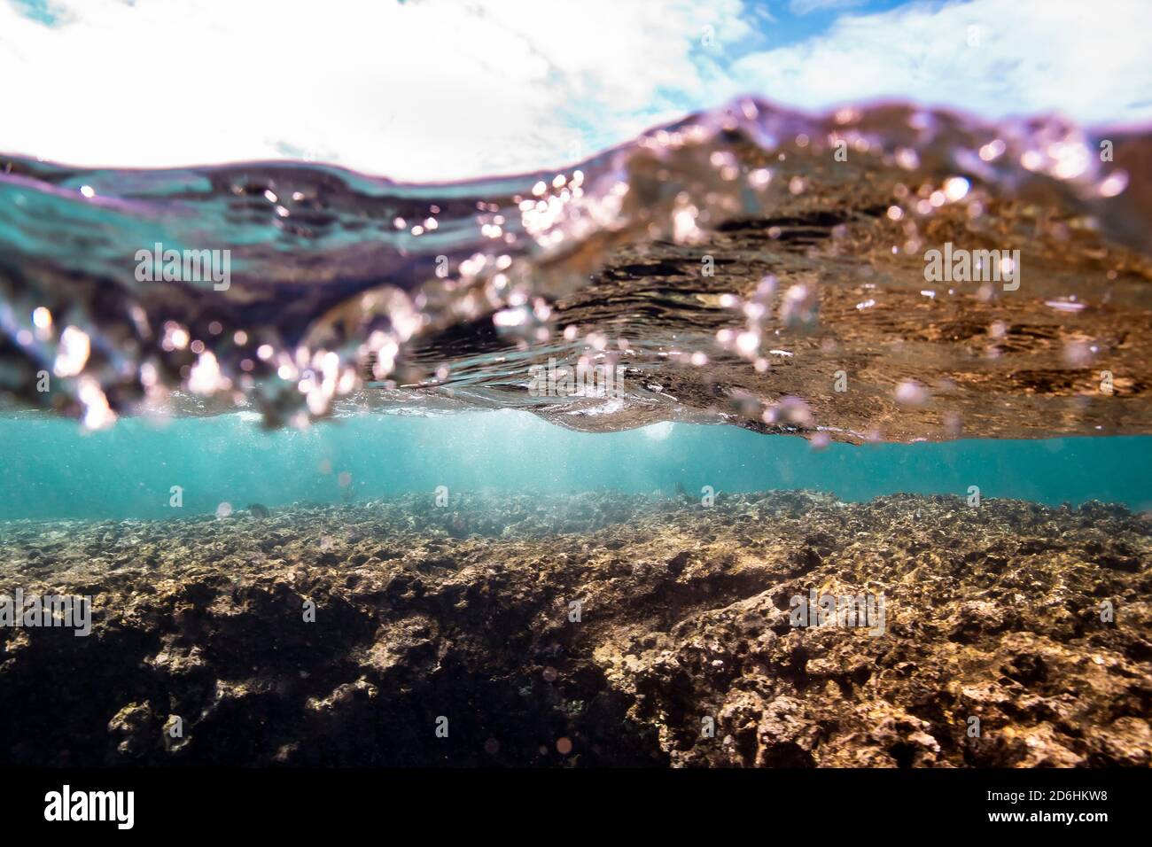 Layers of coral, ocean and sky in oahu, hawaii Stock Photo - Alamy