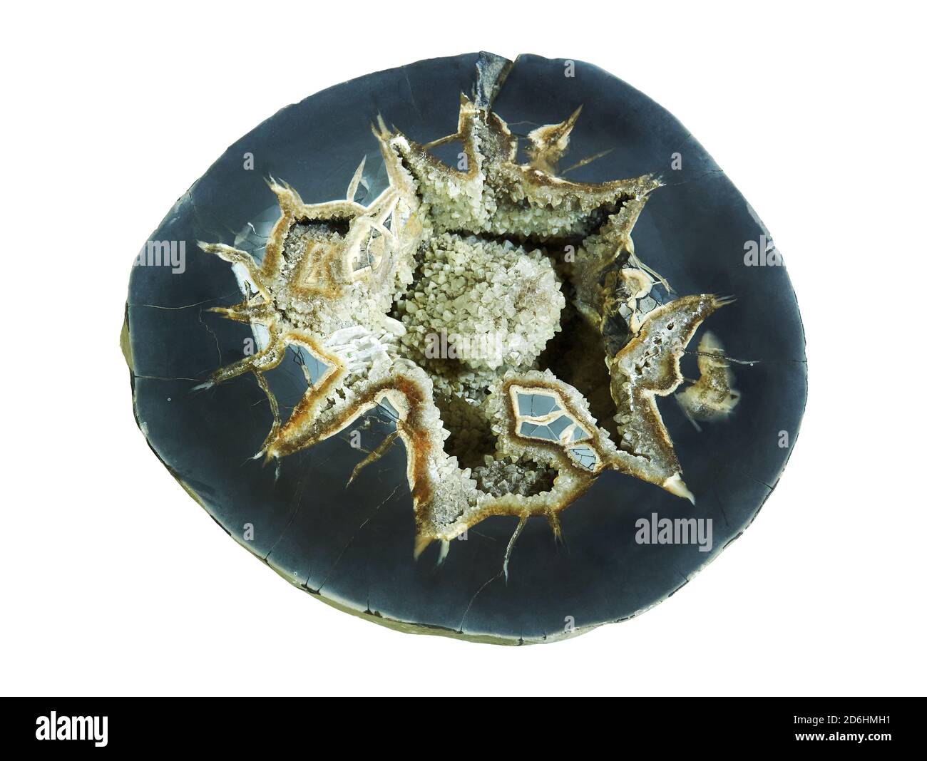 Clay nodule hi-res stock photography and images - Alamy