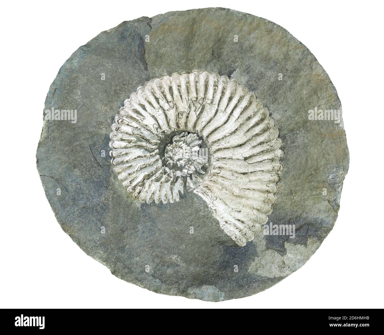 Archeology museum split Cut Out Stock Images & Pictures - Alamy