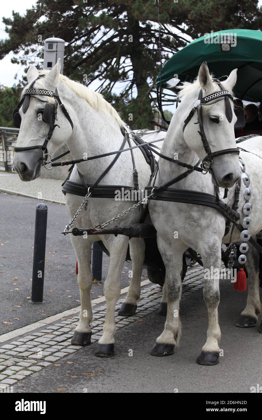 Pferdekutsche Retro High Resolution Stock Photography and Images - Alamy