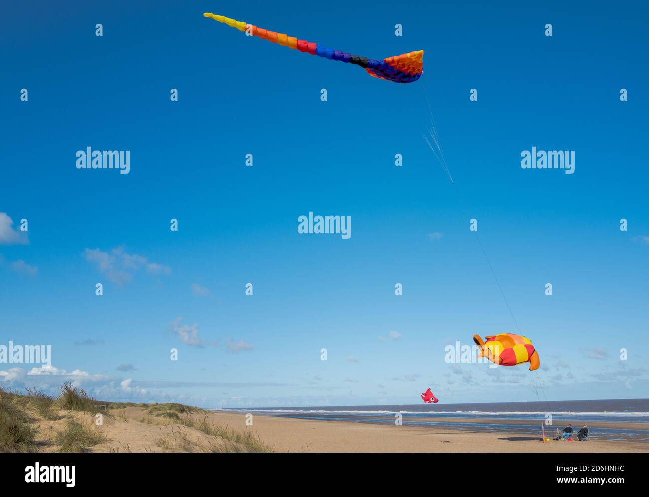 Animal designed kites flying on the Lincolnshire coast at Anderby Stock ...