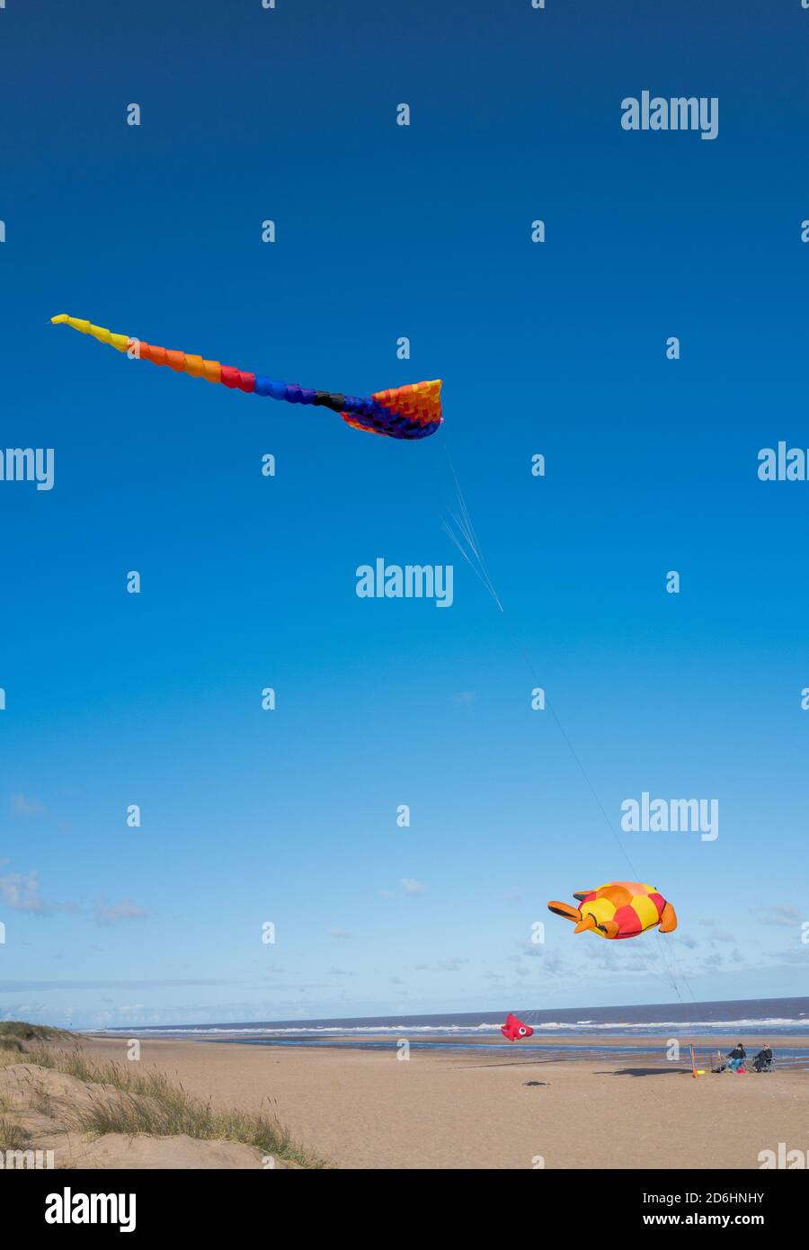Animal kites hi-res stock photography and images - Alamy