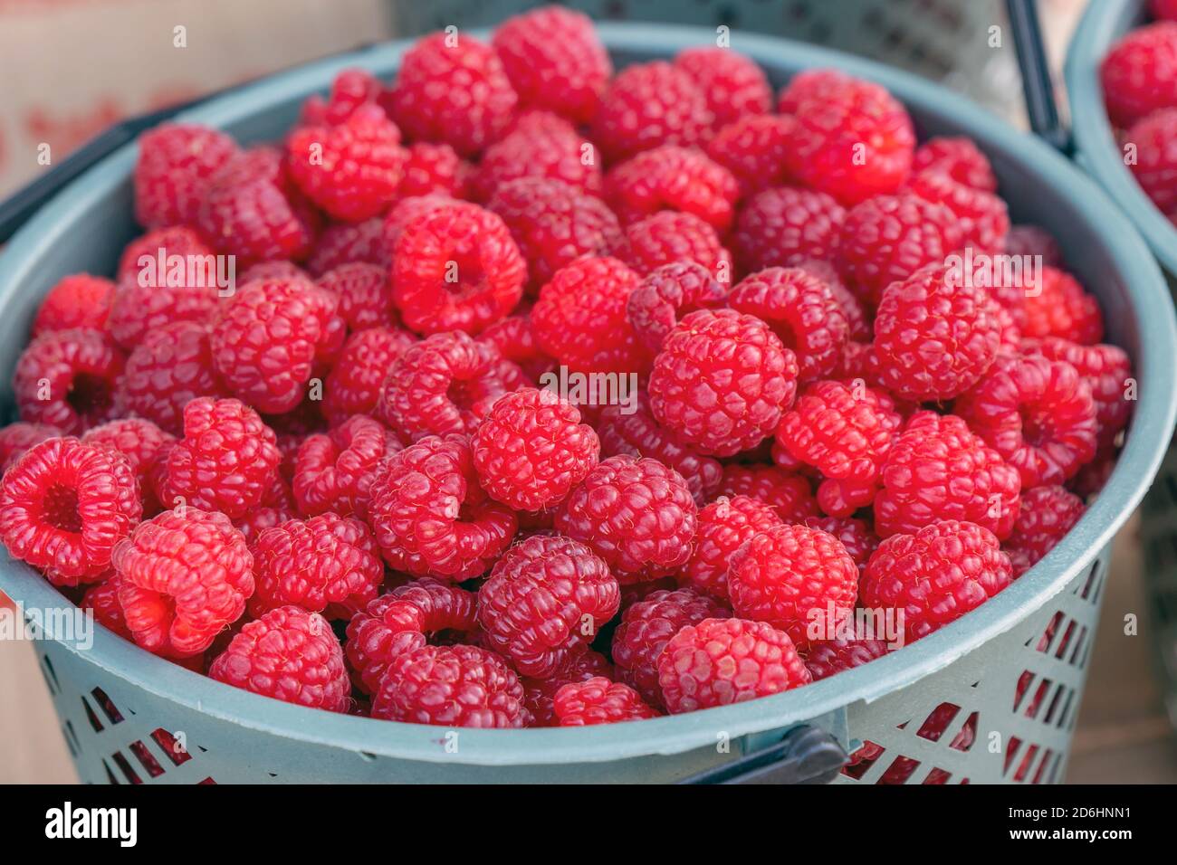 Container of a pile of Red Juicy Raspberries at the farmers market ...