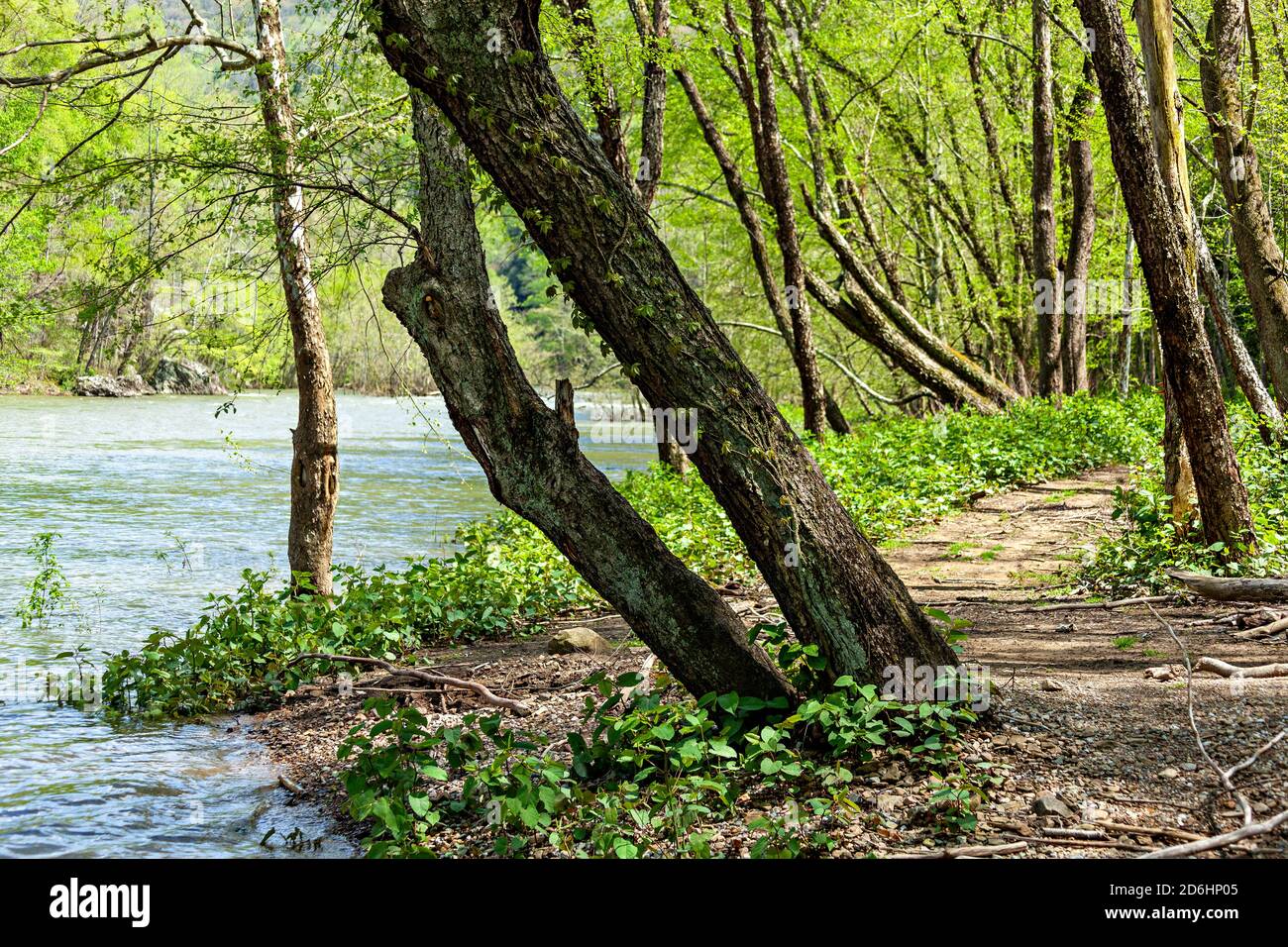 Riverside trail hi-res stock photography and images - Alamy
