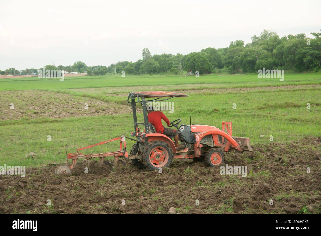 Tractor working plows a field on the farm for planting Stock Photo - Alamy