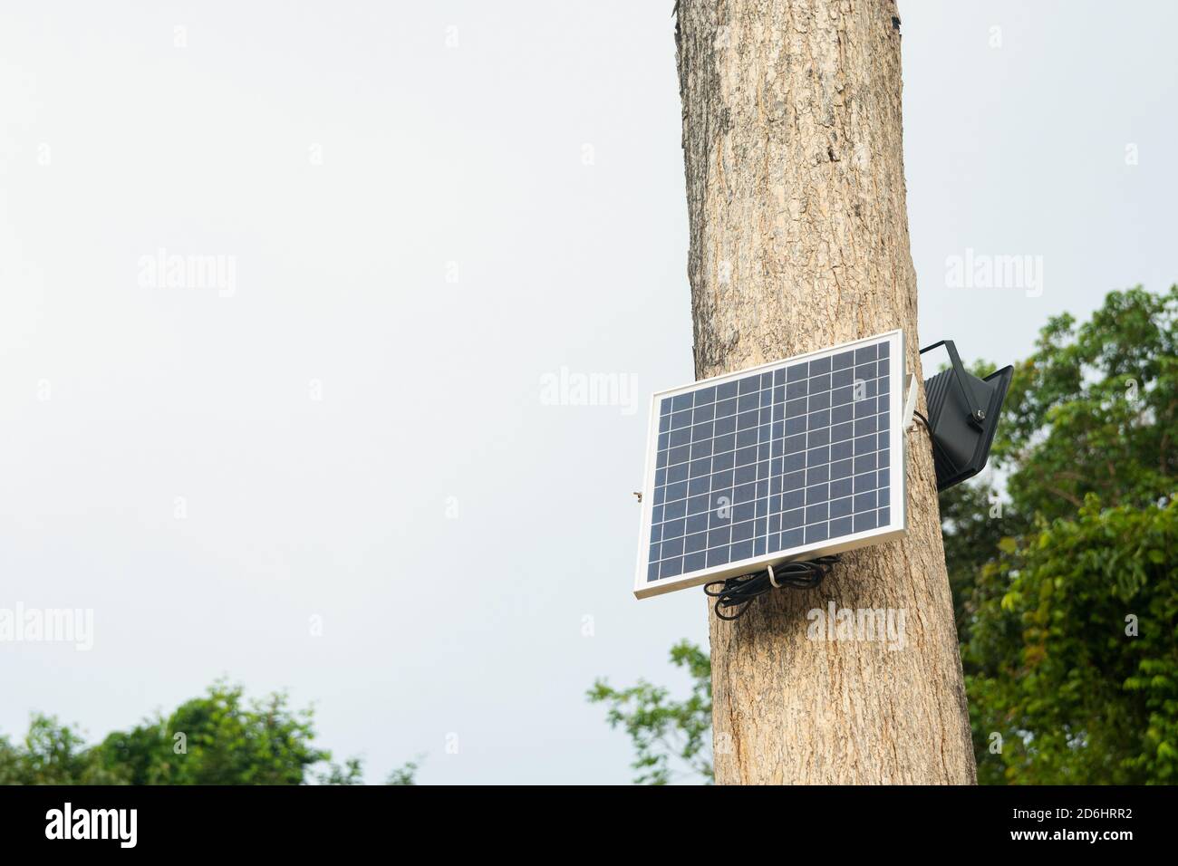 Solar cell install on the tree Stock Photo - Alamy