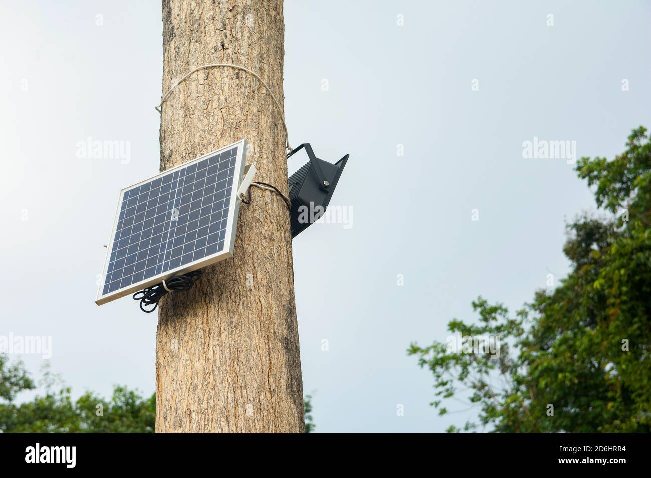 Solar cell install on the tree Stock Photo - Alamy