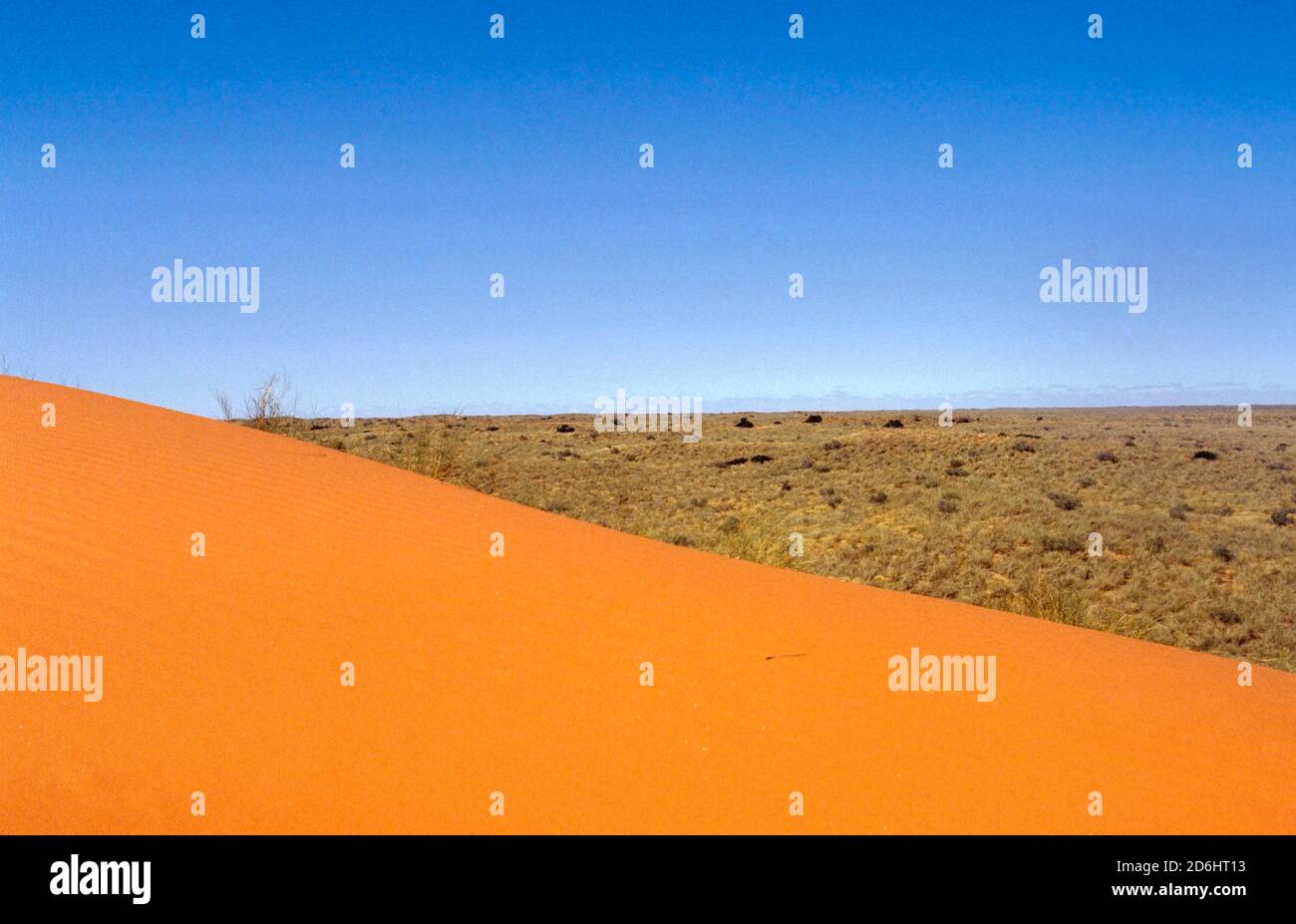 Sand Dune by Plains, Kgalagadi Transfrontier Park, South Africa Stock ...
