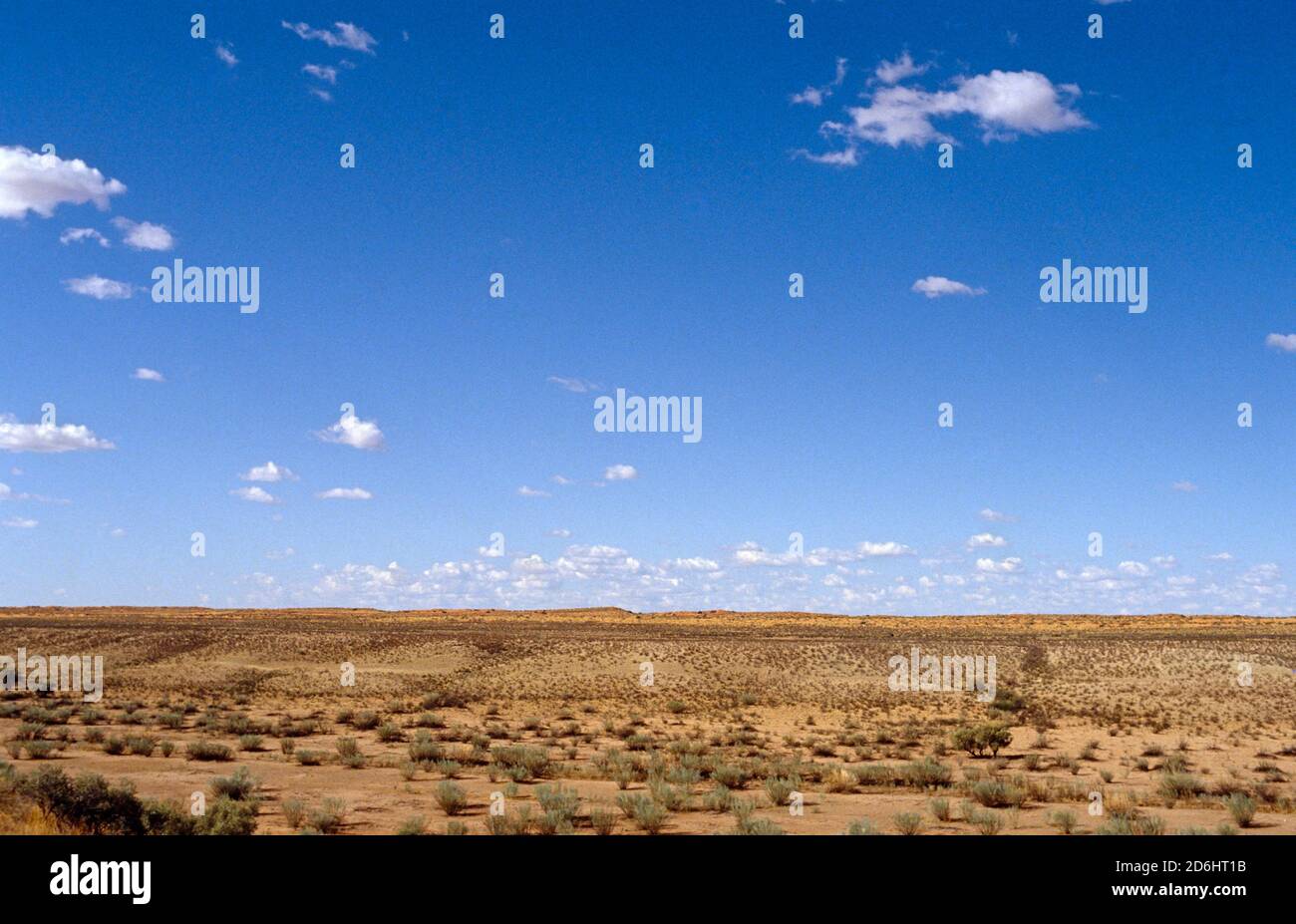 Kalahari Gemsbok Park / Kgalagadi Transfrontier Park, South Africa ...