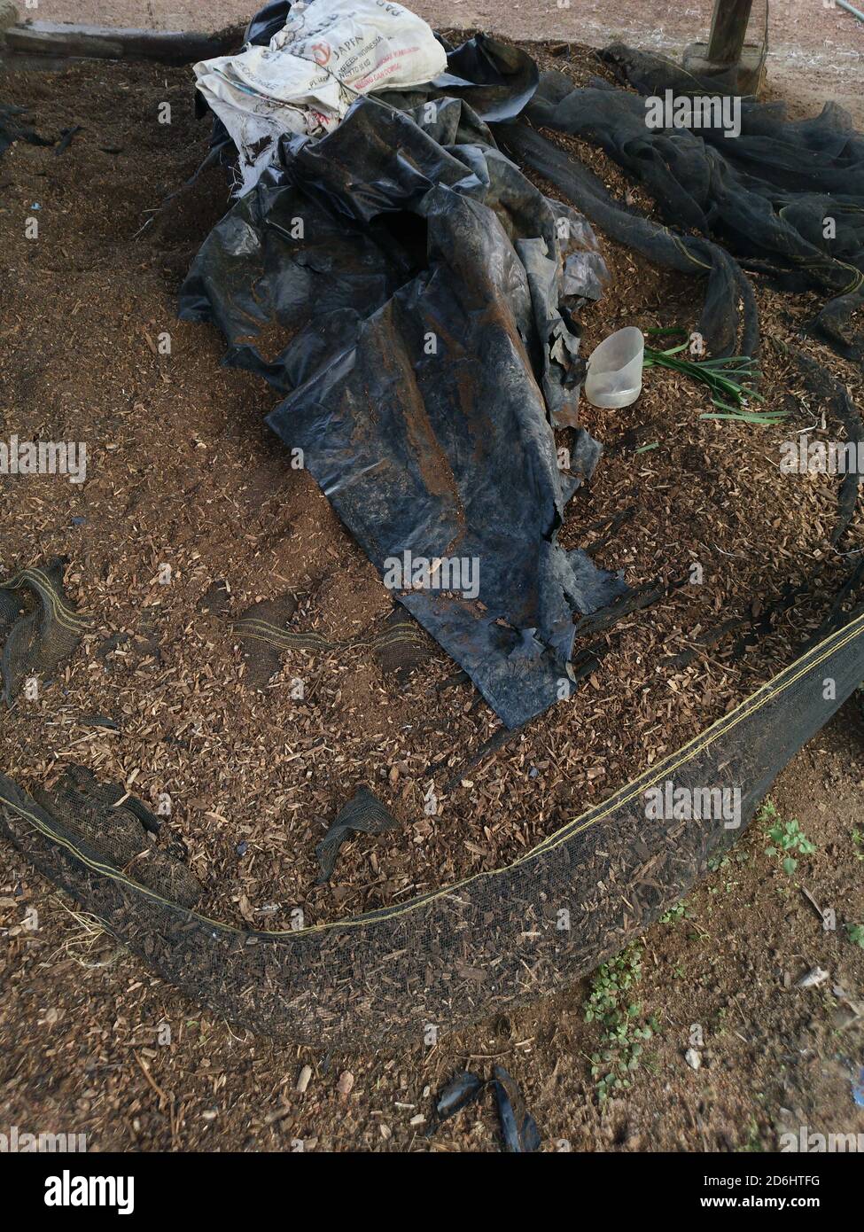 Vertical top view shor of rice hull compost as an organic fertilizer ...