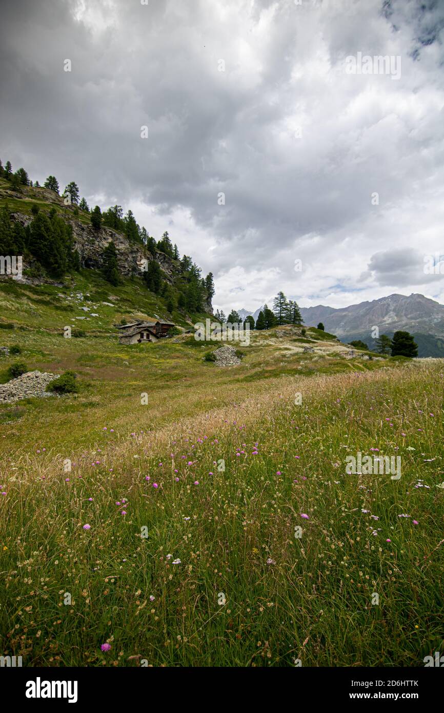 swiss nature at cloudy eather. swiss destinatons and travel idea Stock ...