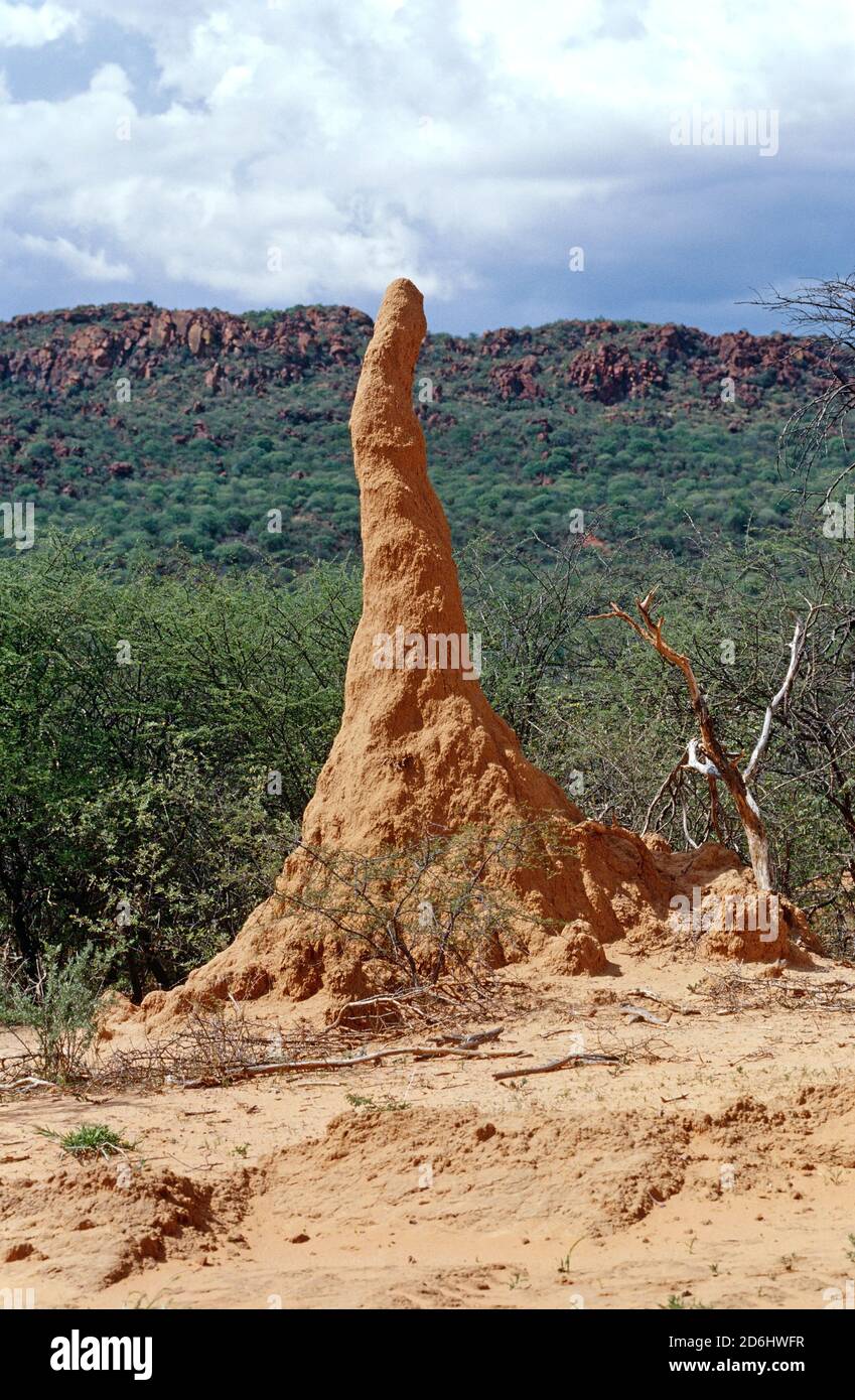Termite Mound, Namibia, Africa Stock Photo - Alamy