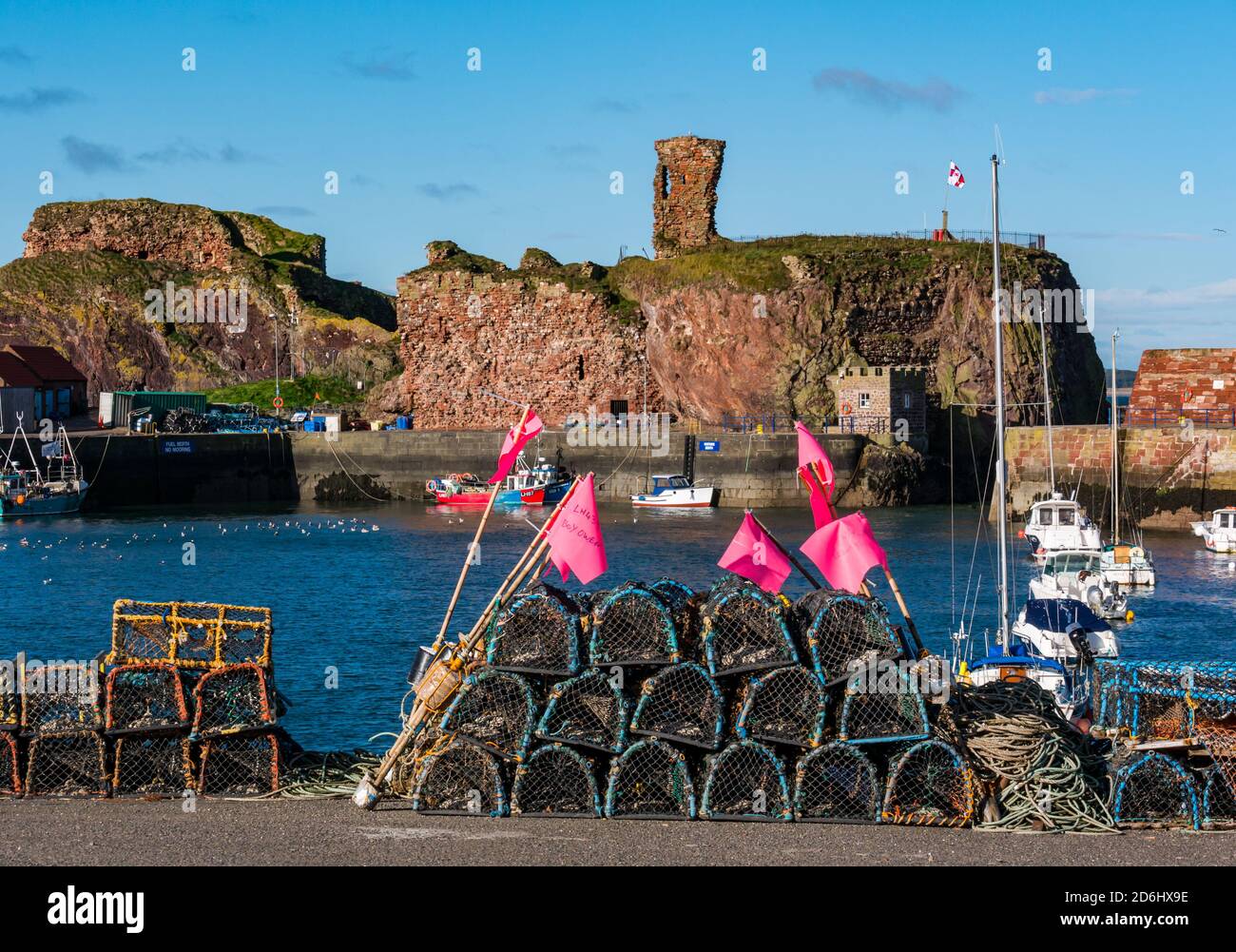 Ruined Dunbar Castle and harbour with stack of lobster pots or creels ...
