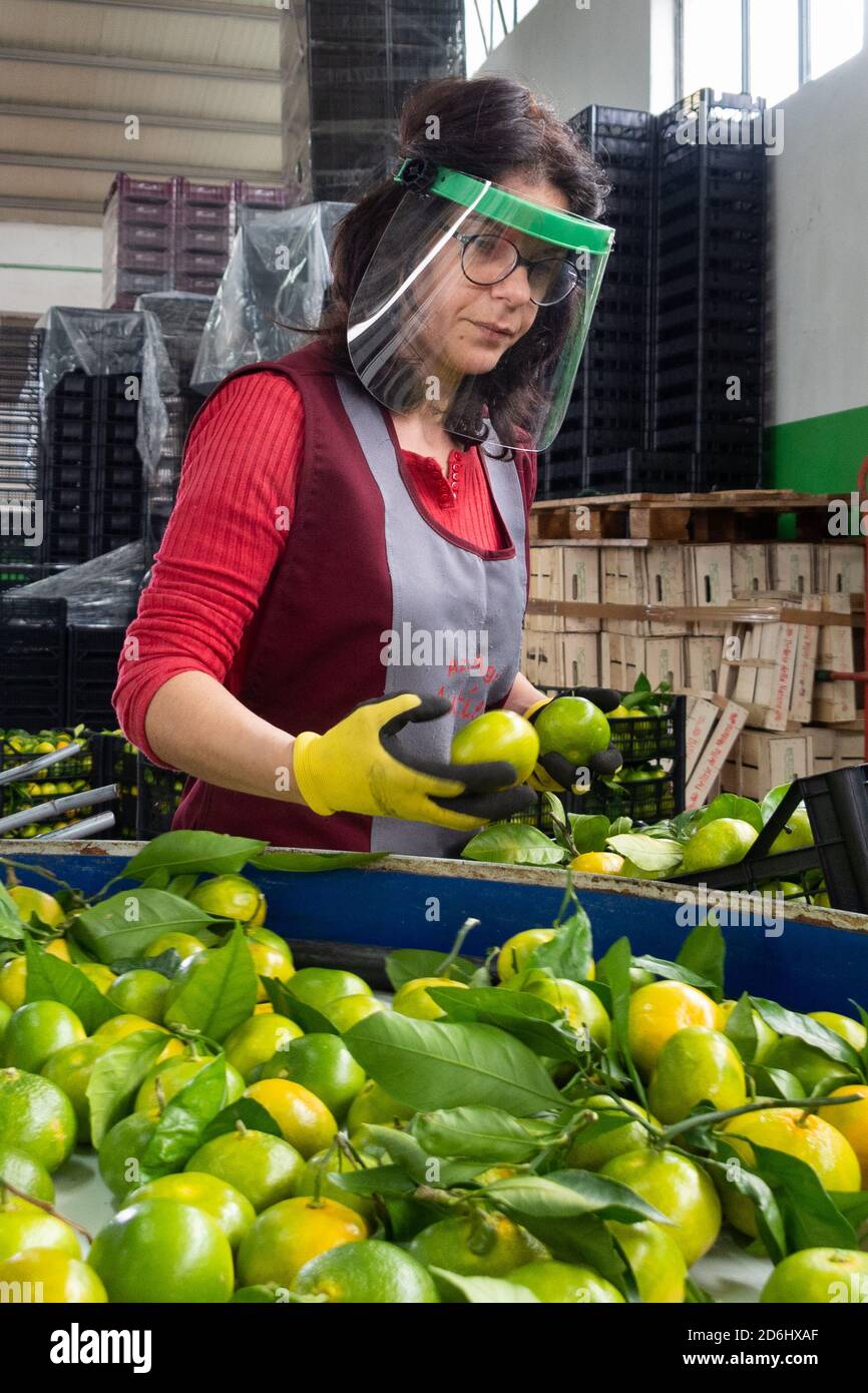 Anti nesting hi-res stock photography and images - Alamy