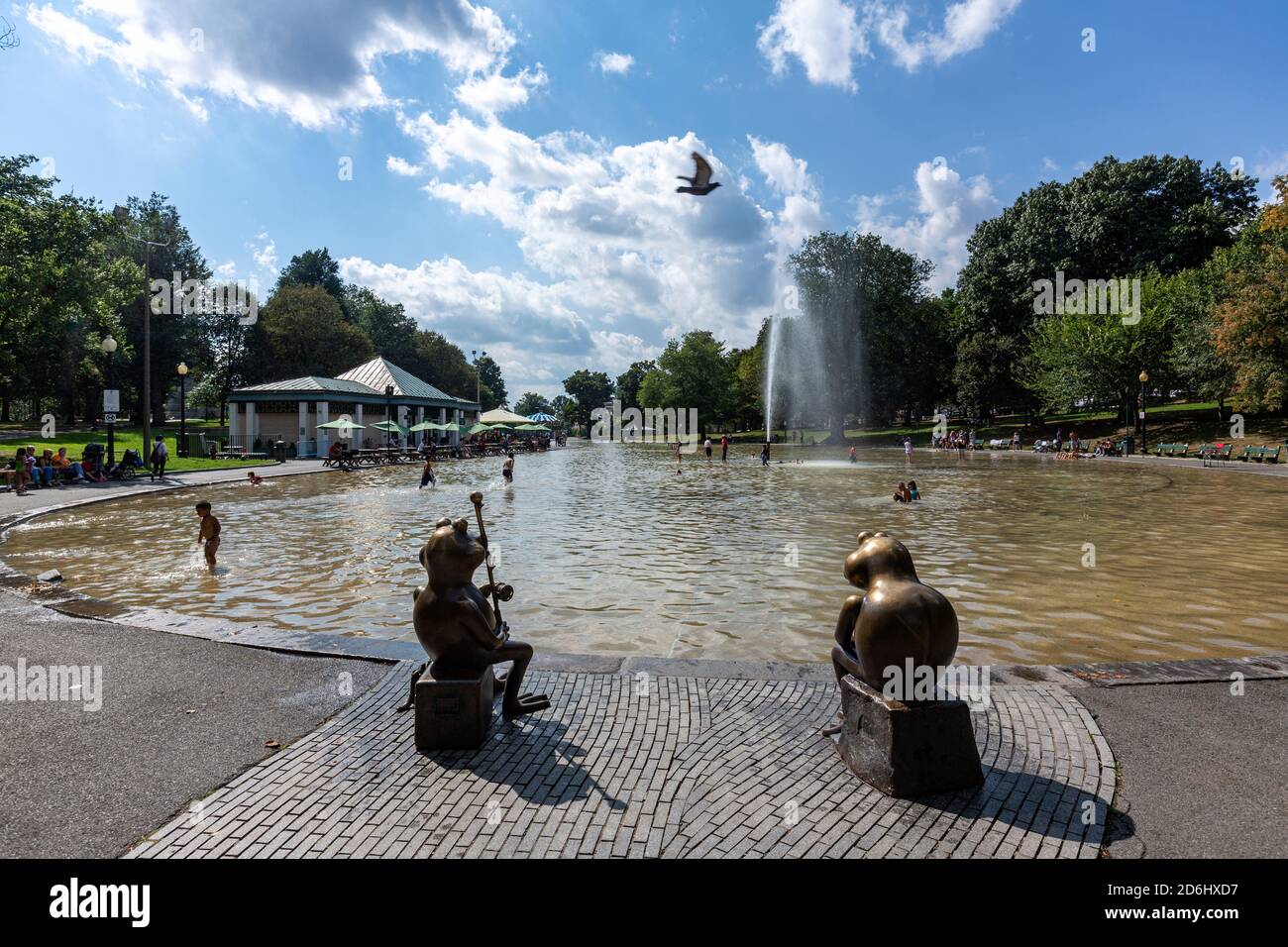 Bronze sculptures of frog, The Frog Pond , Boston Common, Boston ...