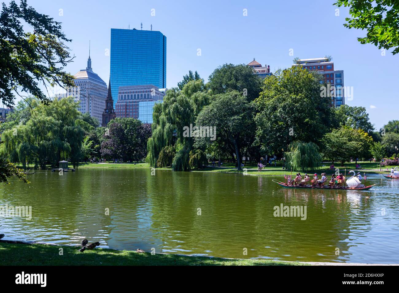 Swan boat in the pond, Boston Public Garden, Boston, Massachusetts, USA ...