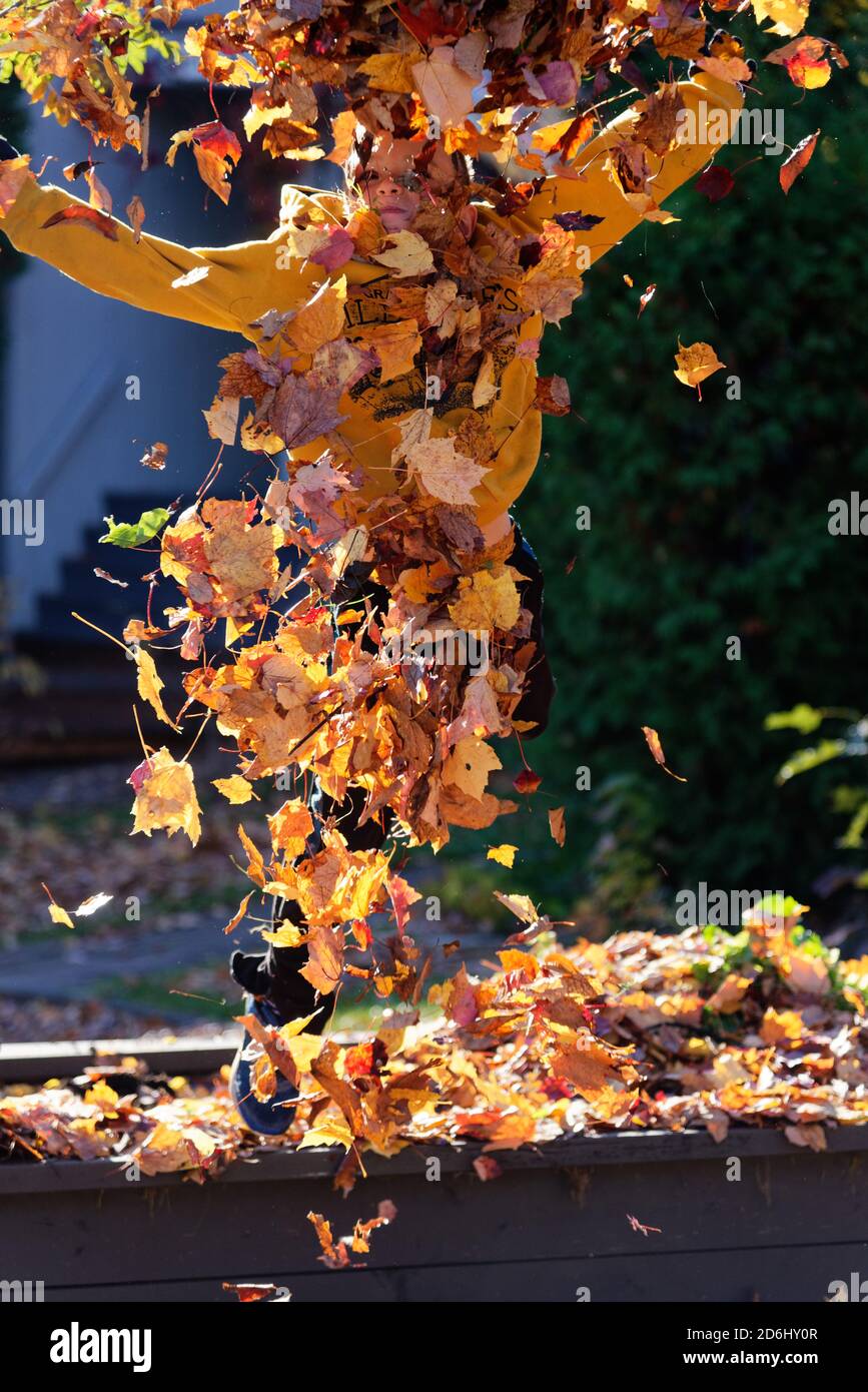 Boy jumping autumn leaves hi-res stock photography and images - Alamy