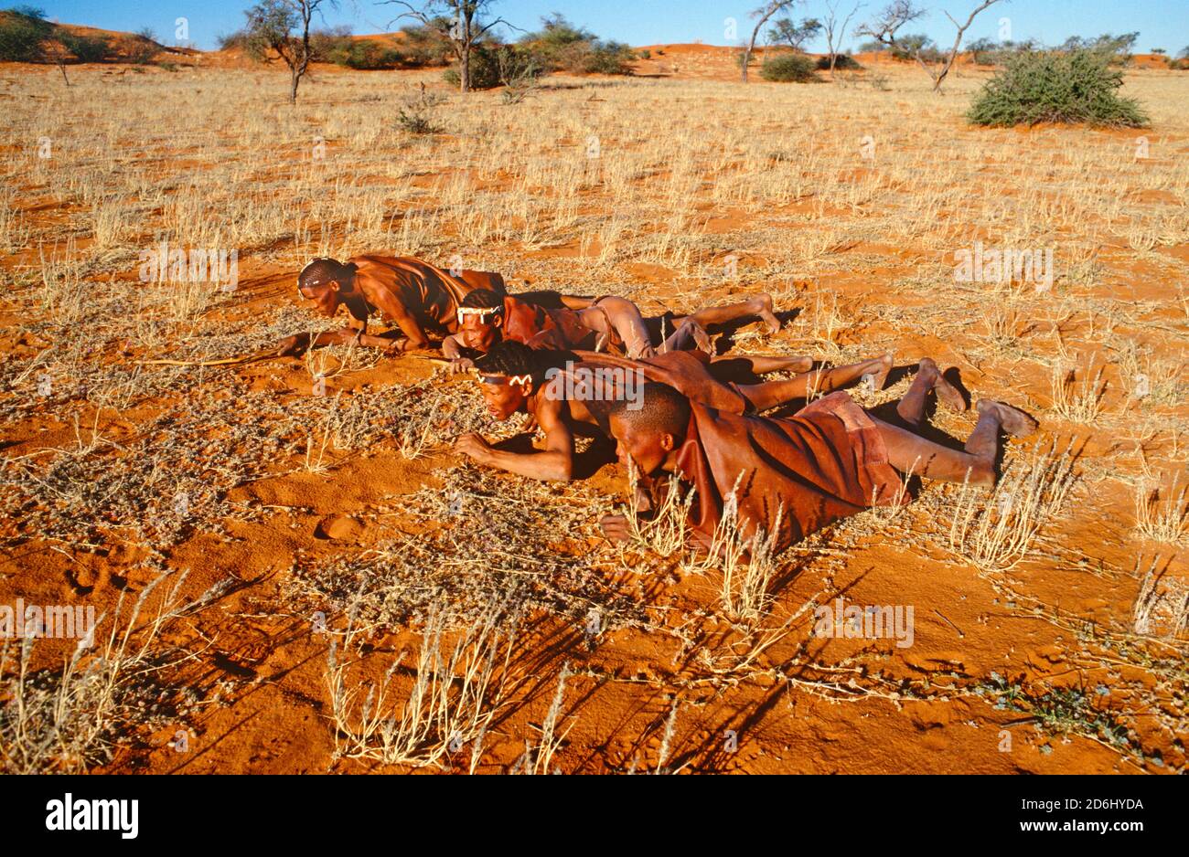 Khoi San bushmen hunting Stock Photo - Alamy