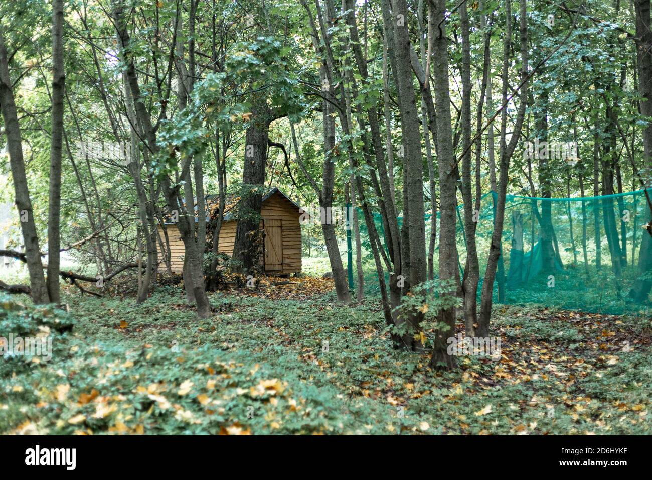 Abandoned cabin in national forest hi-res stock photography and images ...