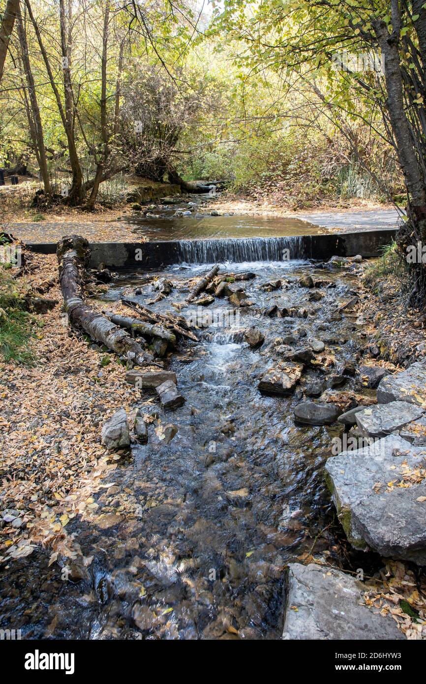 Creek with Small Waterfall Stock Photo - Alamy