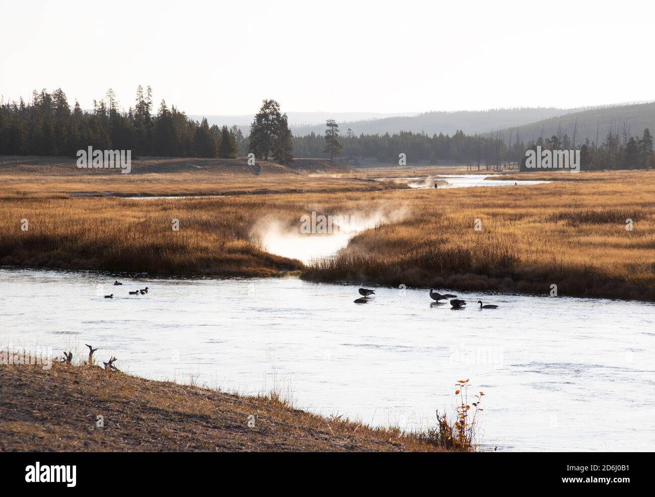 Steam rising from river hi-res stock photography and images - Alamy
