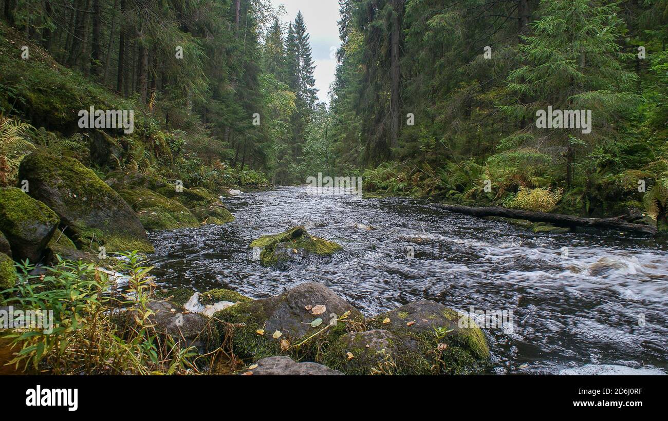 Natural Park in the North of Russia. Waterfalls, gorgeous nature and a ...