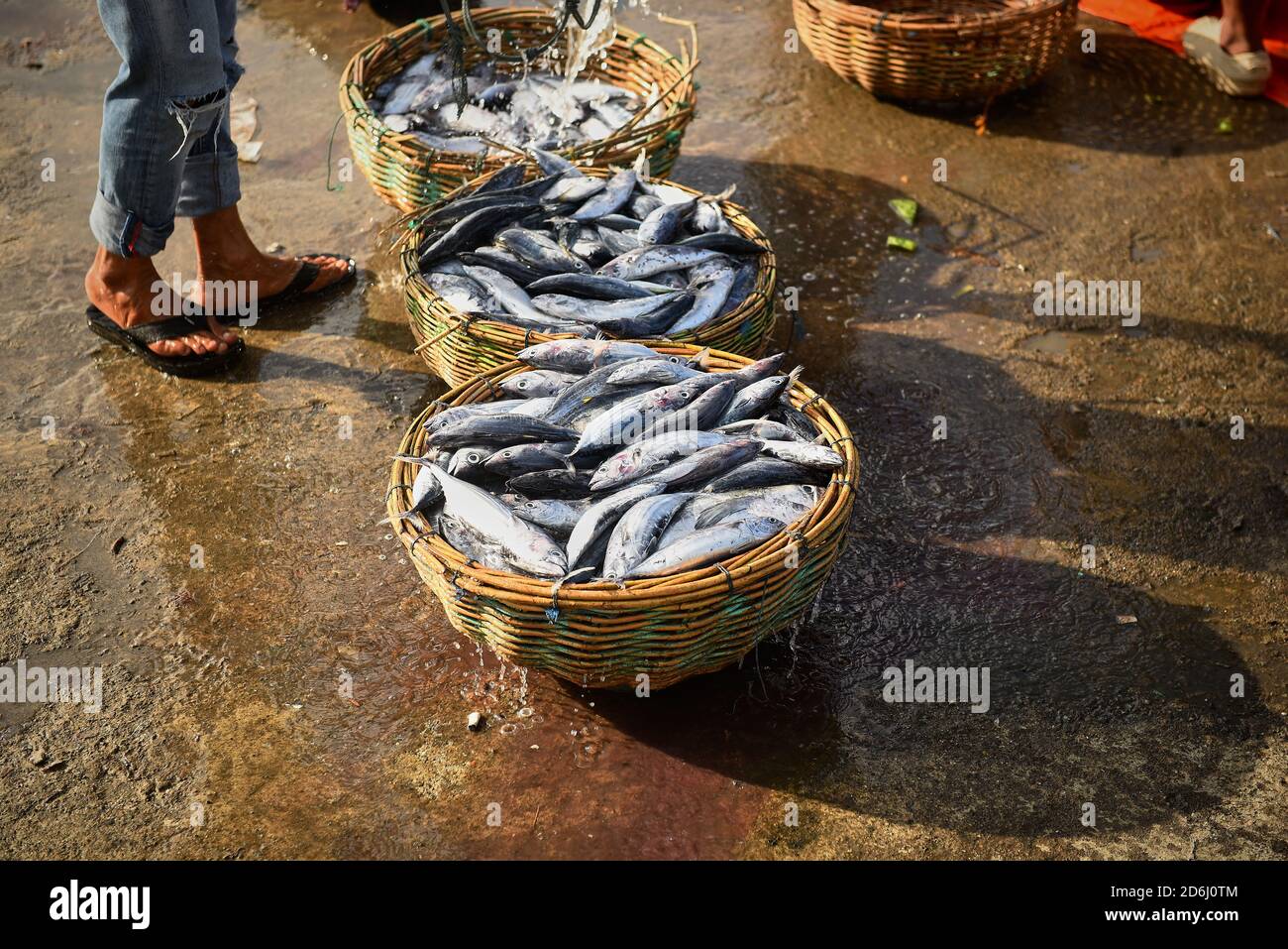 Fresh tuna in the traditional market Stock Photo - Alamy