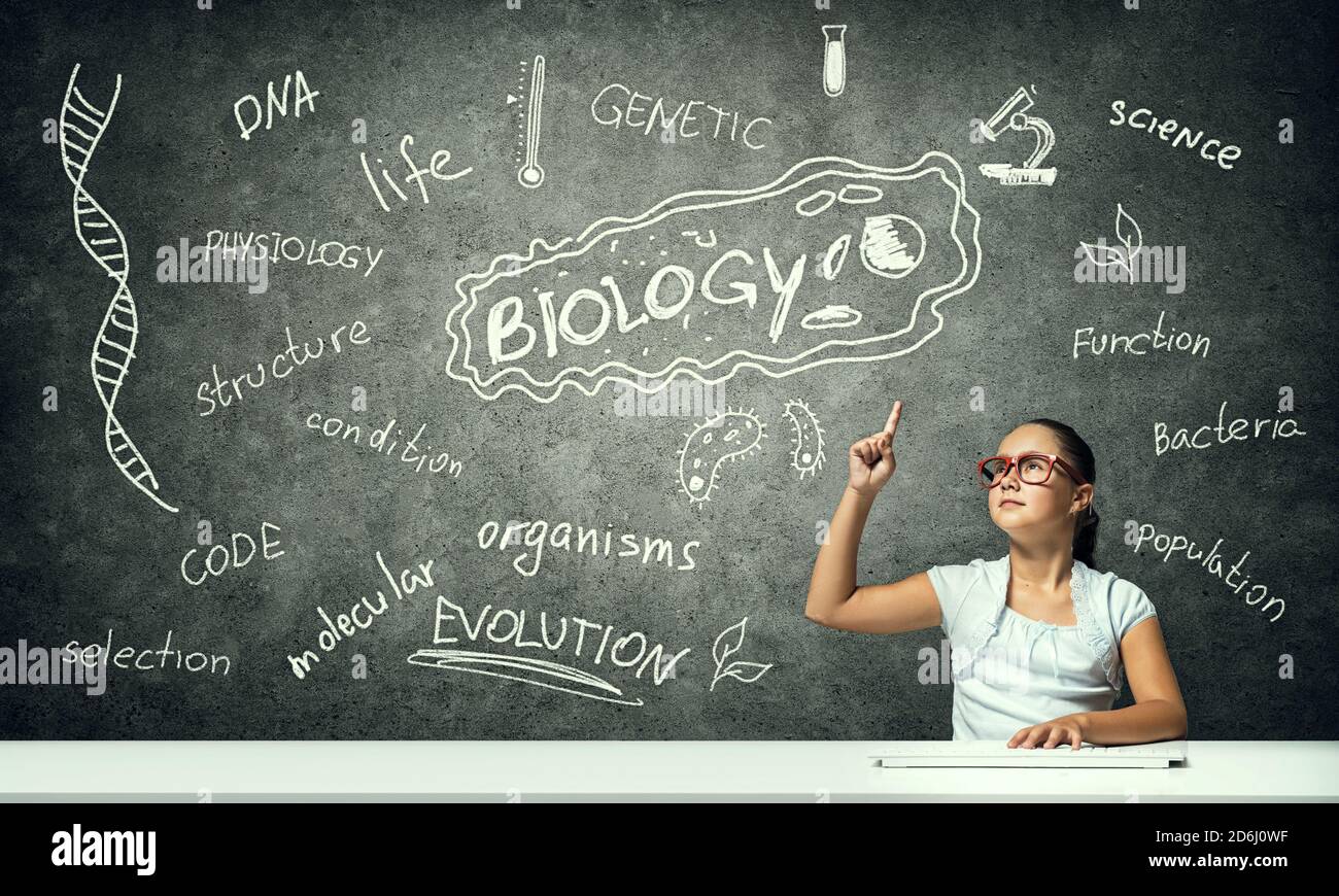 Little school genius Stock Photo - Alamy