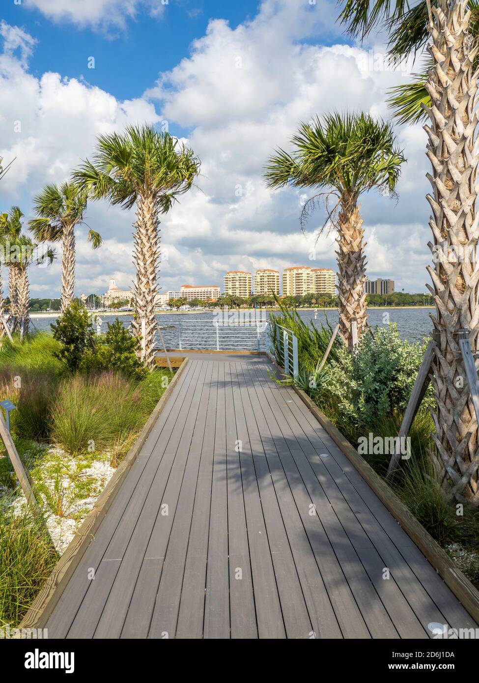 Coastal Thicket on the new rebuilt St Pete Pier in St Petersburg ...