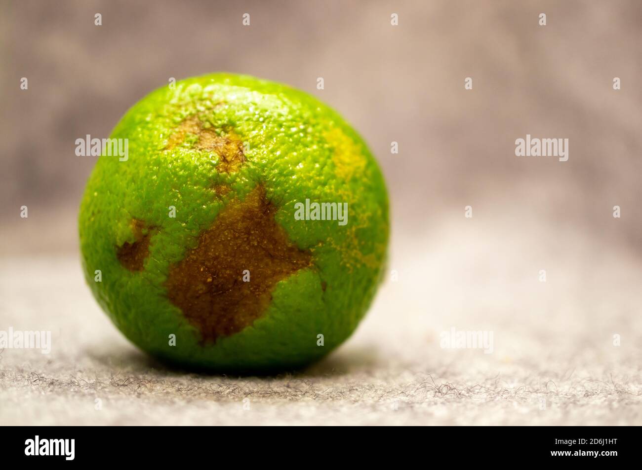 Rotten Lime High Resolution Stock Photography and Images - Alamy