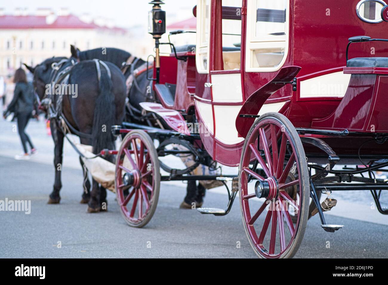 A team of horses in a horse-drawn carriage. Closed mail cart of the XIX ...