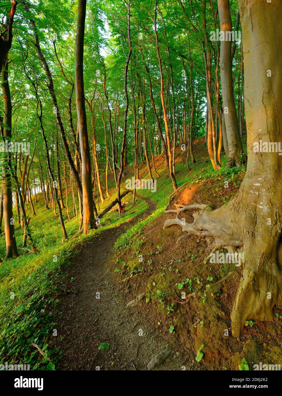 Hiking trail on narrow hi-res stock photography and images - Alamy