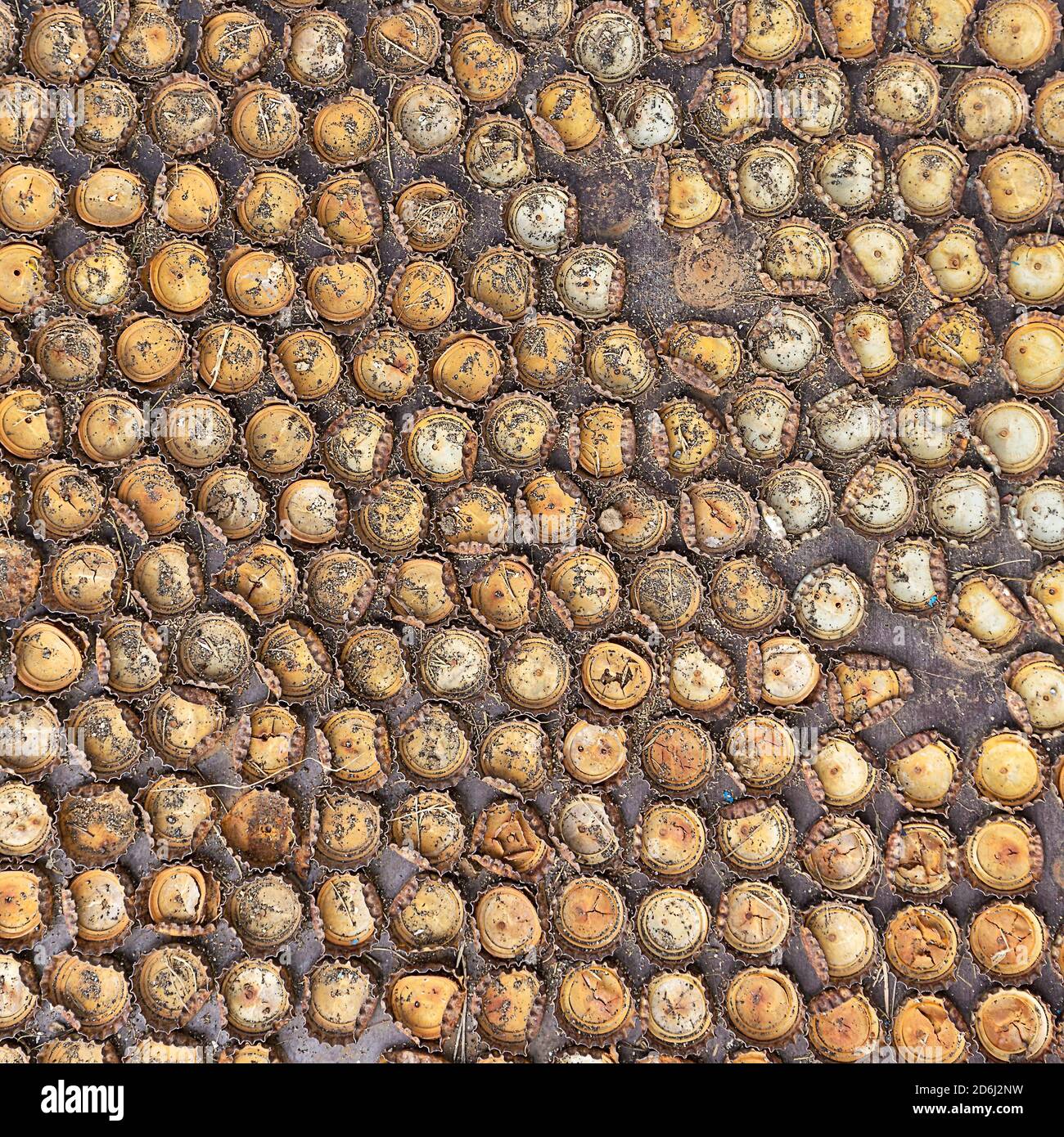 Many different crown caps in rows hi-res stock photography and images ...