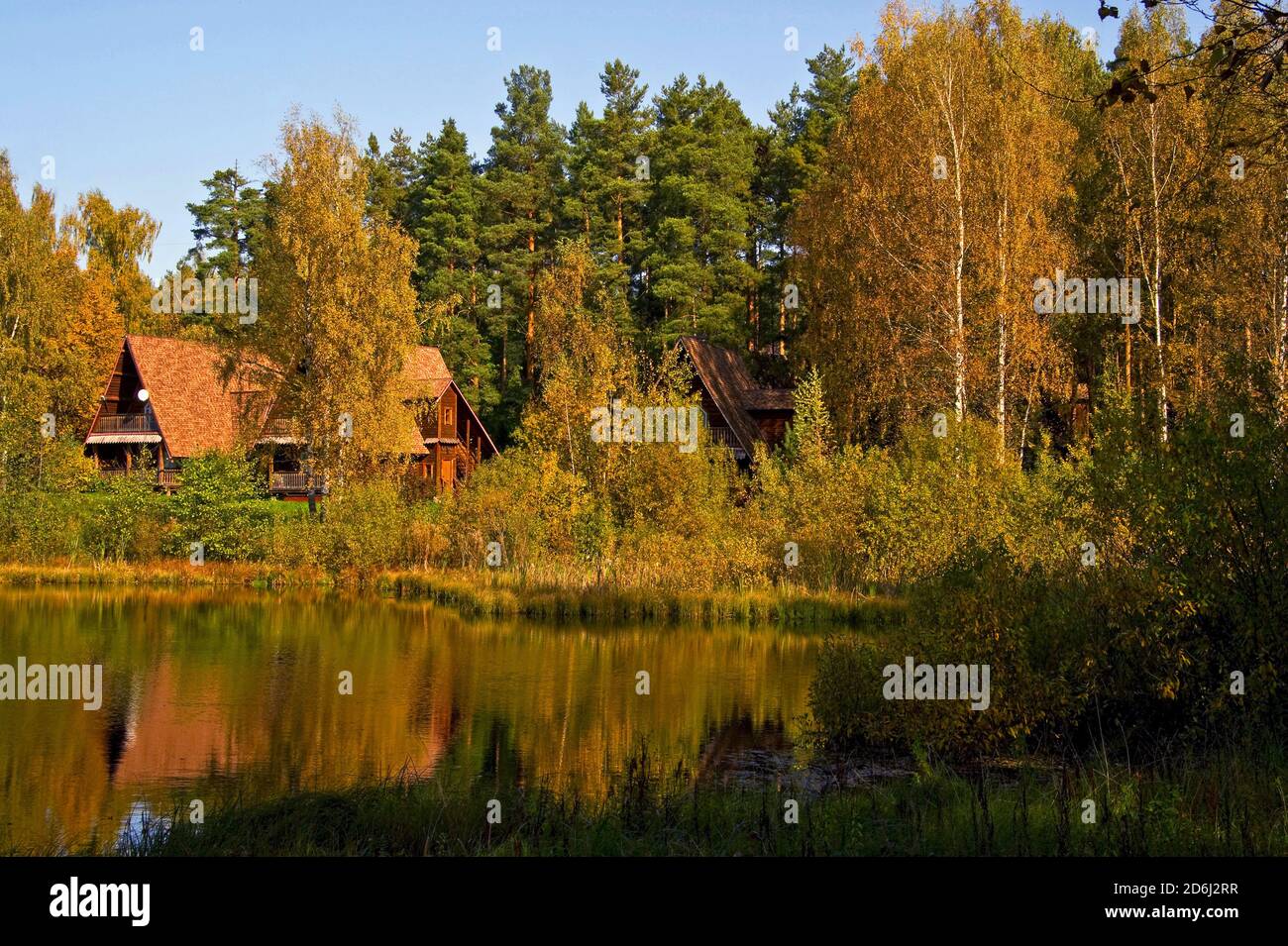 Cozy forest hi-res stock photography and images - Alamy