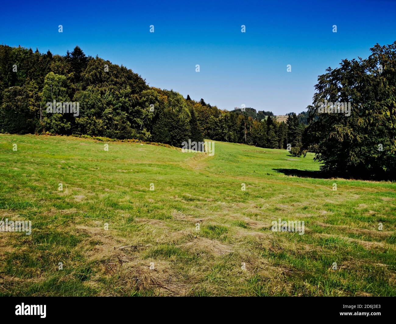 Mountain glade hi-res stock photography and images - Alamy