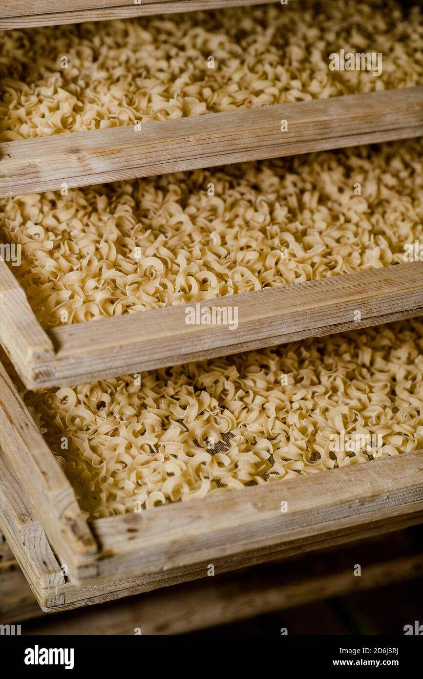 Pasta factory, drying of the pasta Stock Photo - Alamy