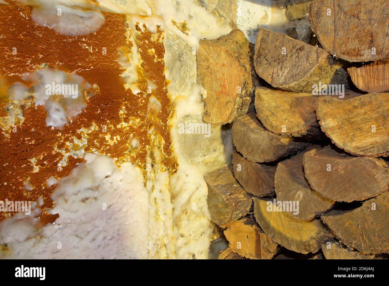 Wall body hi-res stock photography and images - Alamy