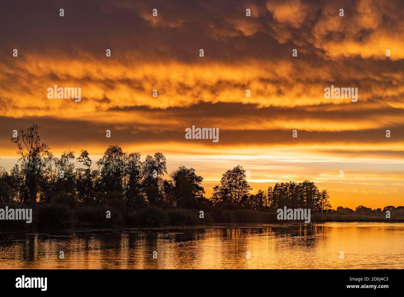 Sunset at the Peene river, nature park park river landscape Peene ...