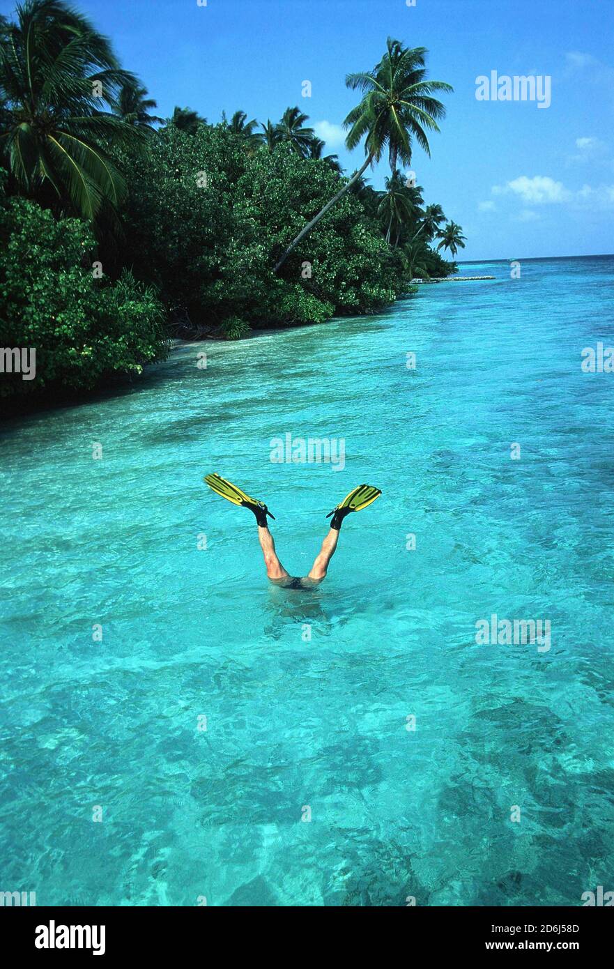 Diving, fins, legs, Maldives Stock Photo - Alamy