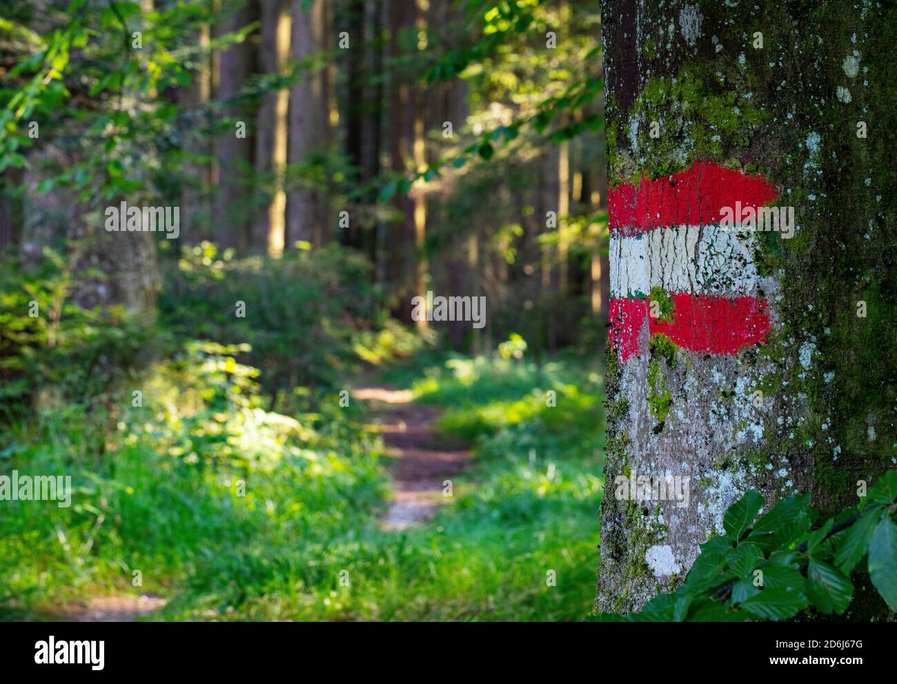 Waymarking hi-res stock photography and images - Alamy