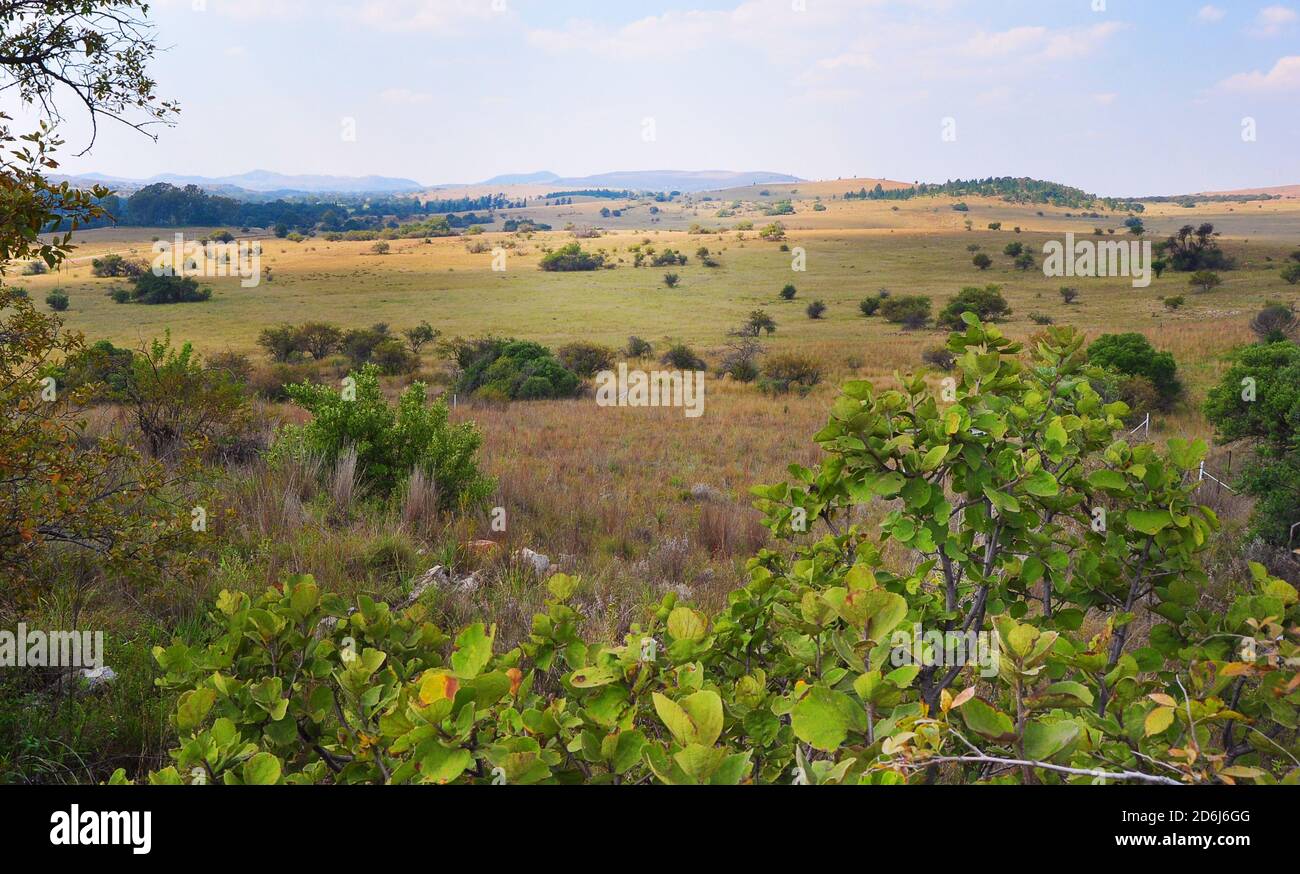 Cradle of humankind south africa hi-res stock photography and images ...