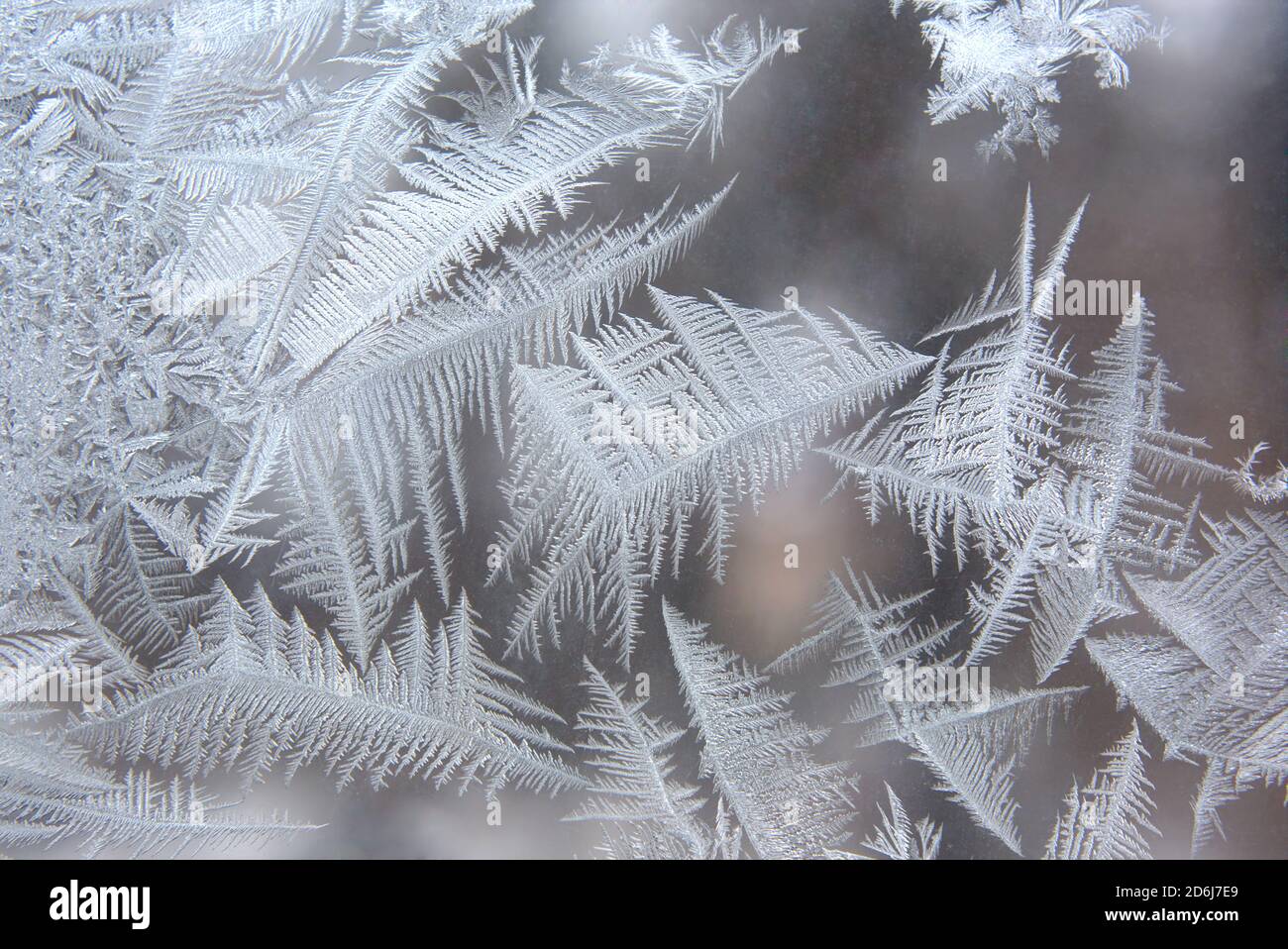 the unique ice patterns on window glass Stock Photo - Alamy