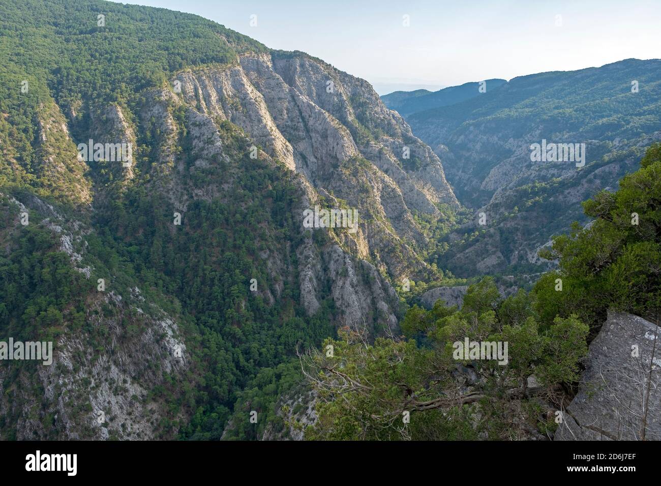 Ida Mountain-Kaz Daglari in Turkey. (in Turkish: Kazdagi, meaning Goose ...