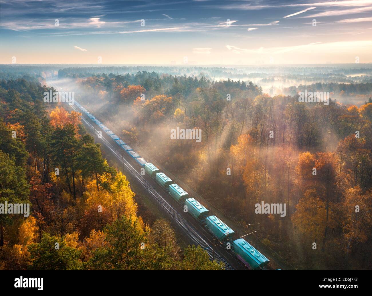 Aerial view of freight train in forest in fog at sunrise in autumn ...