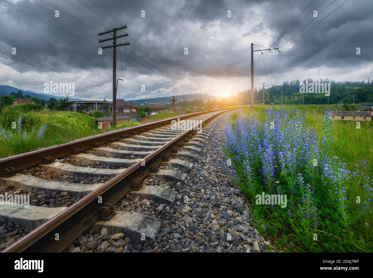 Train station flowers hi-res stock photography and images - Alamy
