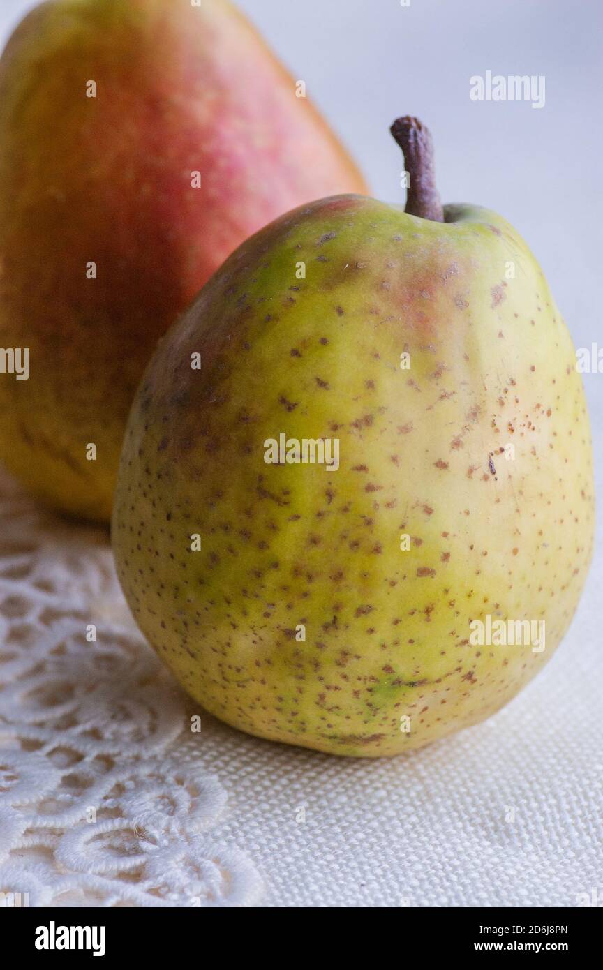 Two pears. Organic fruit. Two pears, fruits and vitamins Stock Photo ...